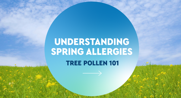 Tree Pollen Allergies